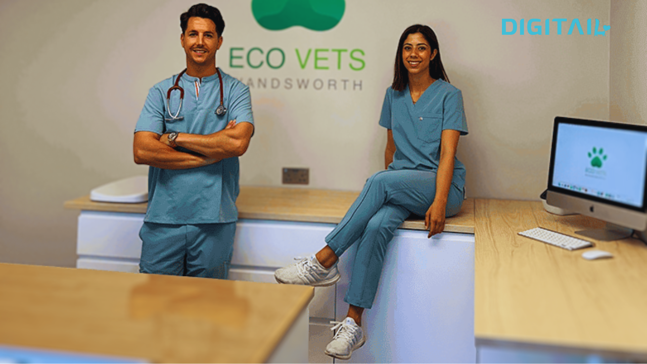 How Eco Vets Saves Both Pets and the Environment
