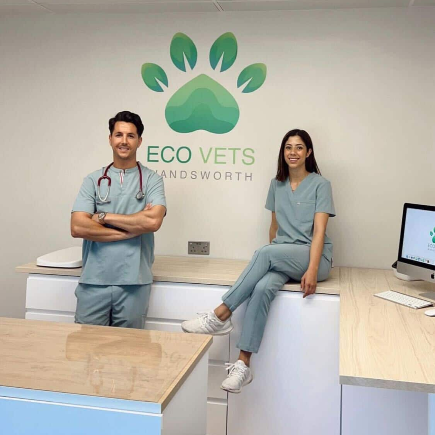 How Eco Vets Saves Both Pets and the Environment