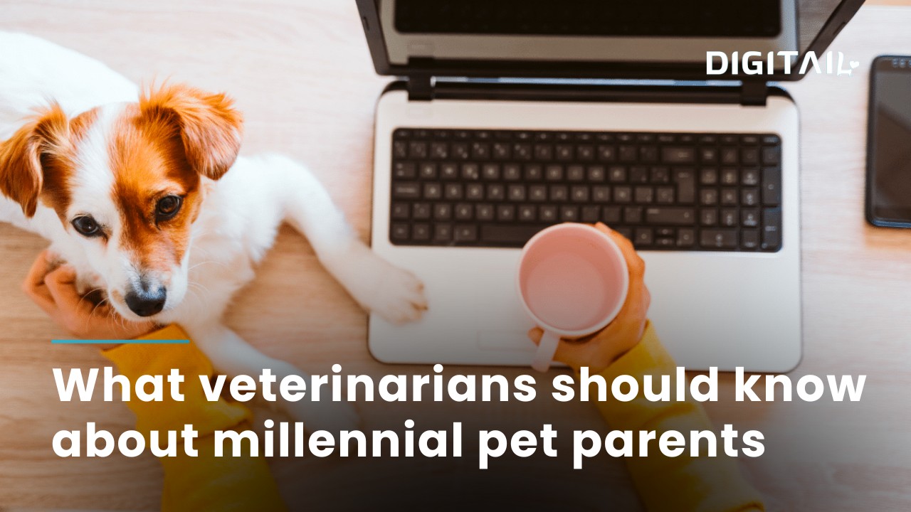 What veterinarians should know about millennial pet parents