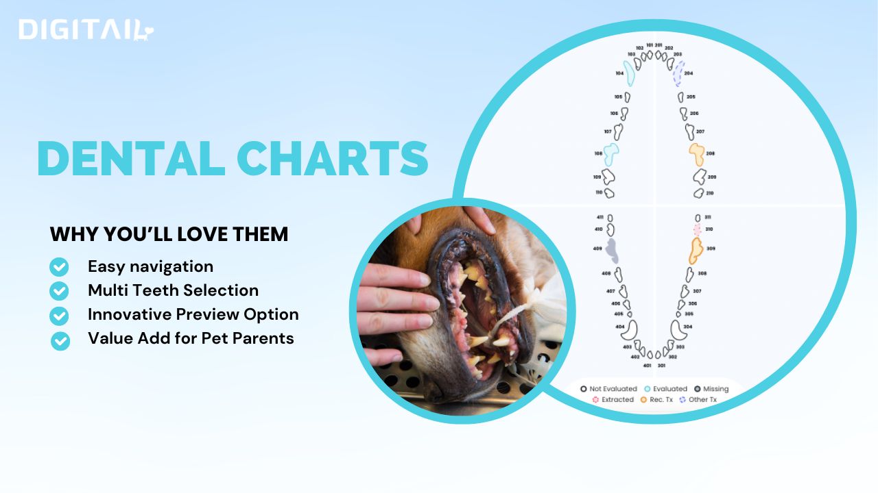 Pet Dental Health Month - Guide to Care with Digitail