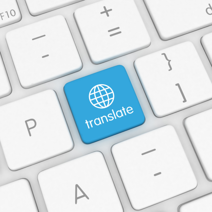 AI in Veterinary Care - Translating Across Cultural Barriers