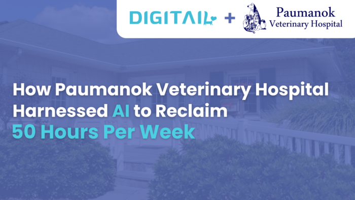 How Digitail Helps Streamline Records and Client Communication