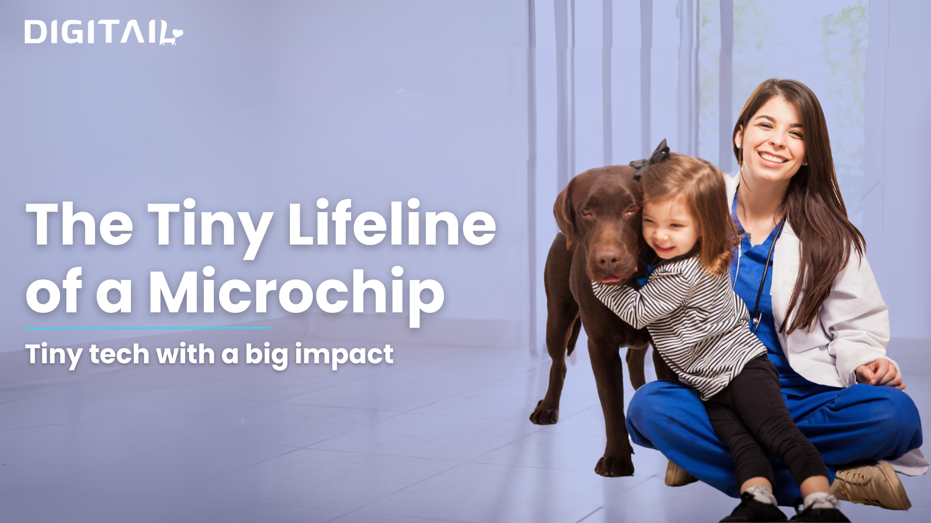 The Tiny Lifeline of a Pet Microchip