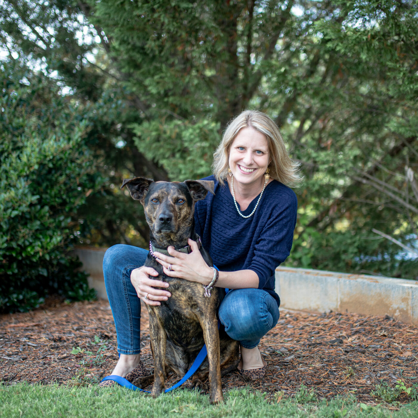 Implementing AI in Your Veterinary Clinic