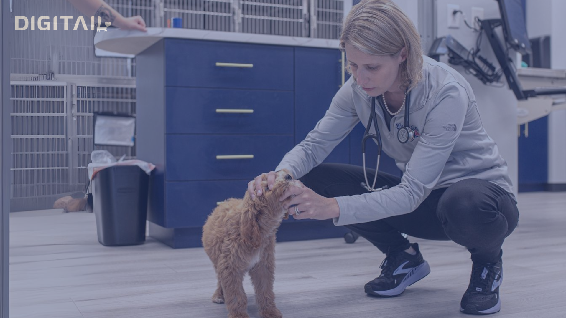 Implementing AI in Your Veterinary Clinic