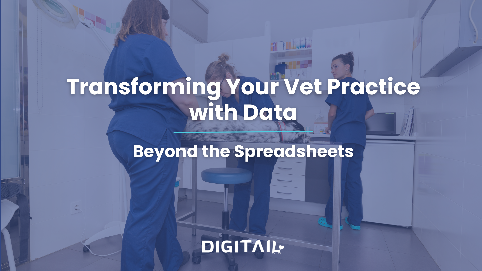 Transforming Your Vet Practice with Data | Practical Tips
