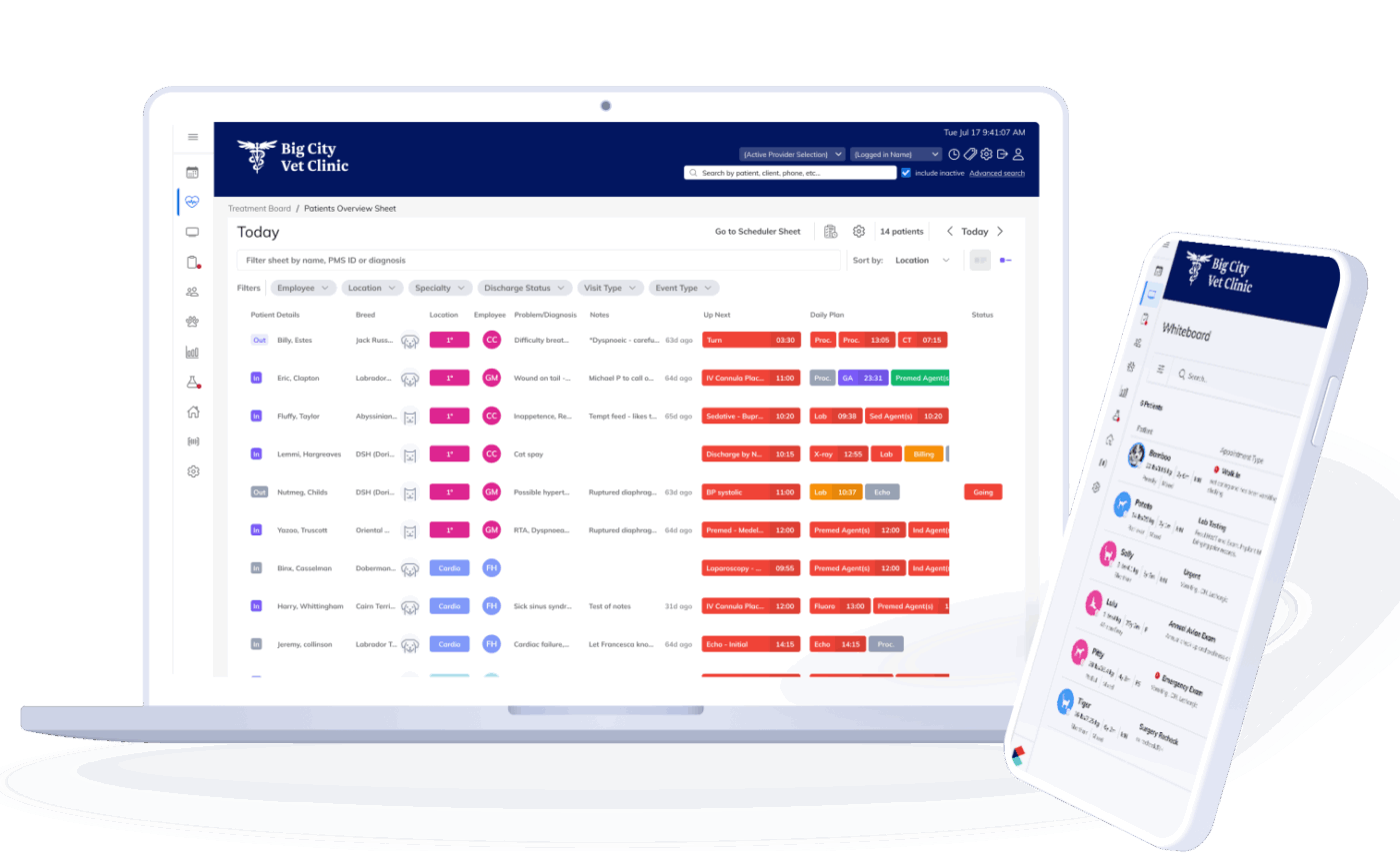 Digitail vs Covetrus Pulse: Complete Veterinary PIMS Comparison