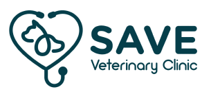 Digitail: All-in-one Veterinary Practice Management Software